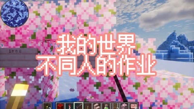 我的世界:不同人的作业