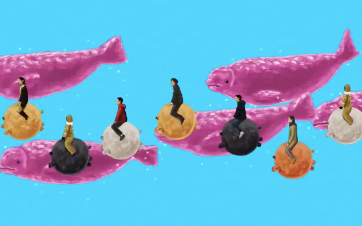 毛茸茸爱好者的天堂,好想一头扎进去啊