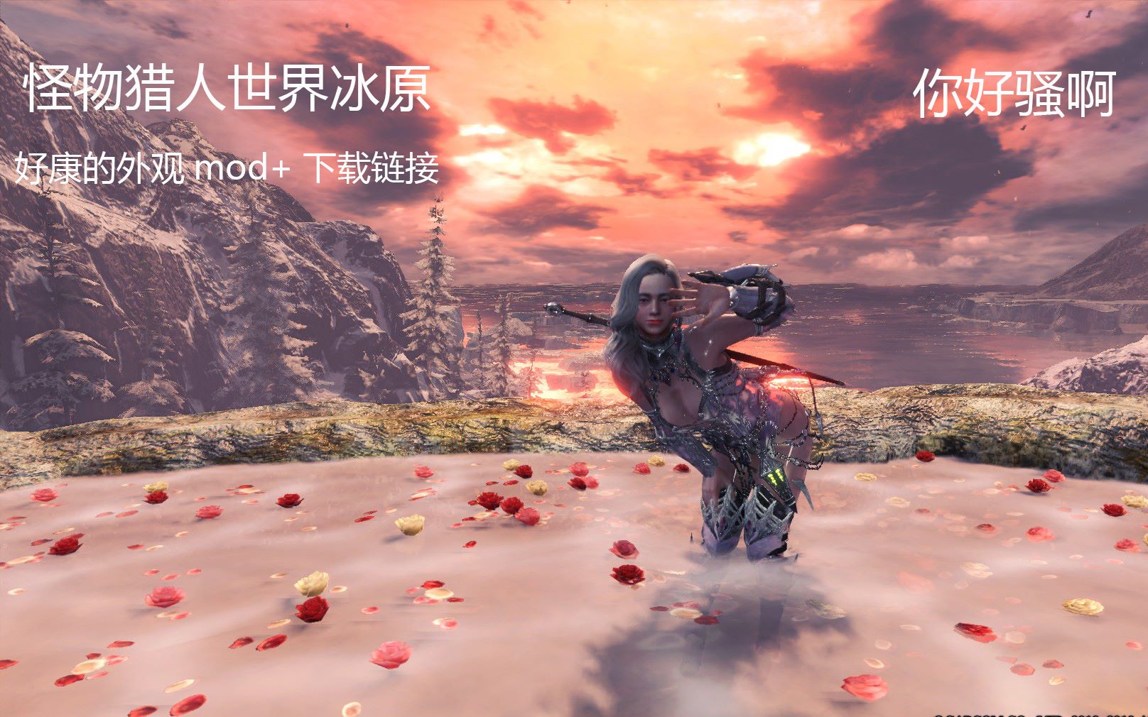 【卵卵猎人】你怎么穿着品如的衣服---怪物猎人冰原外观mod展示
