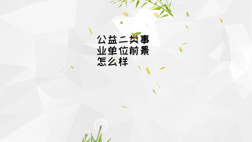 公益二类事业单位前景怎么样