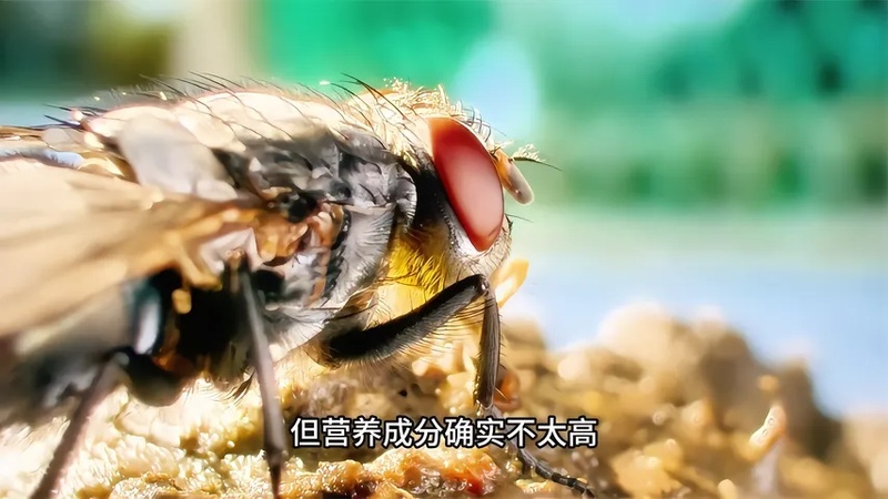 细节传播的罪魁祸首 你知道是谁吗?