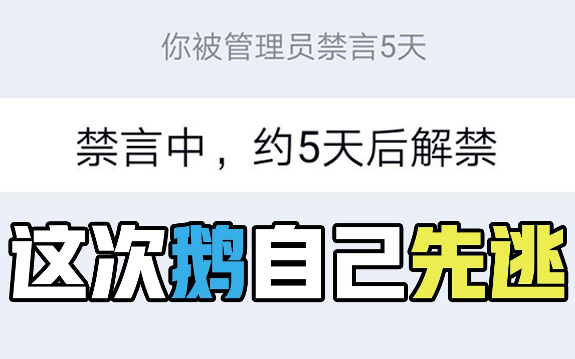 【你号没了第三弹】当QQ官方又潜入群聊.