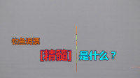 老钓友深度解析浮漂的调漂精髓,简单易懂,助钓友们少走弯路