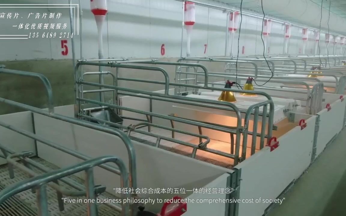 智慧养殖养猪畜牧科技公司企业宣传片专业制造