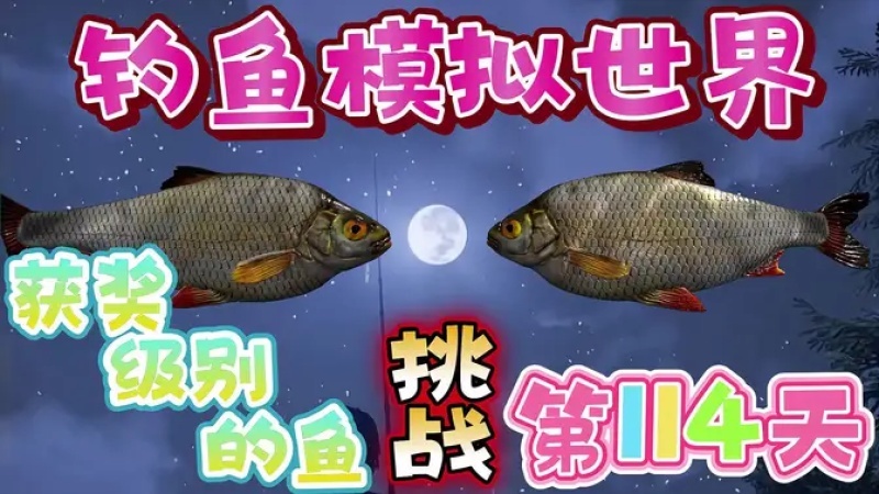 《钓鱼模拟世界》获奖级别的鱼挑战第114天,锦鲤6.41千克