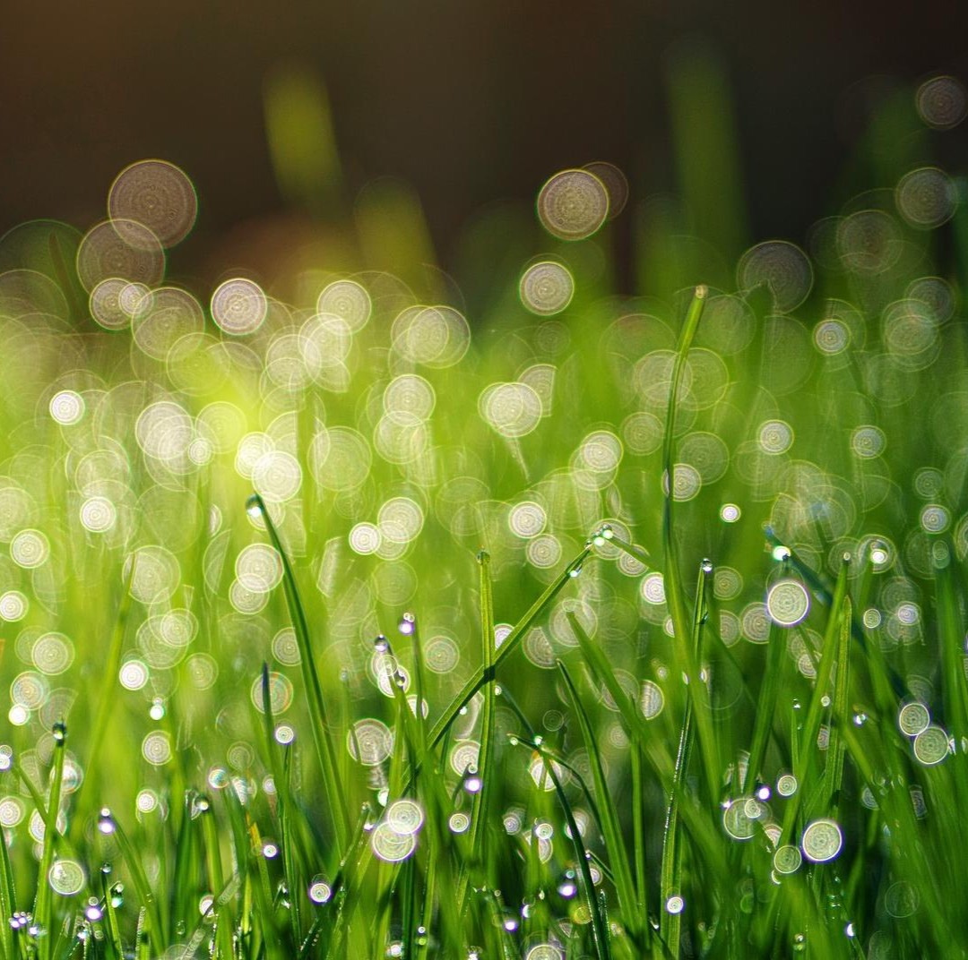 努力学习从0到1 