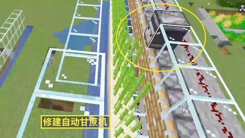 我的世界1.14第46期:我用侦测器检测甘蔗的高度,用来实现收割