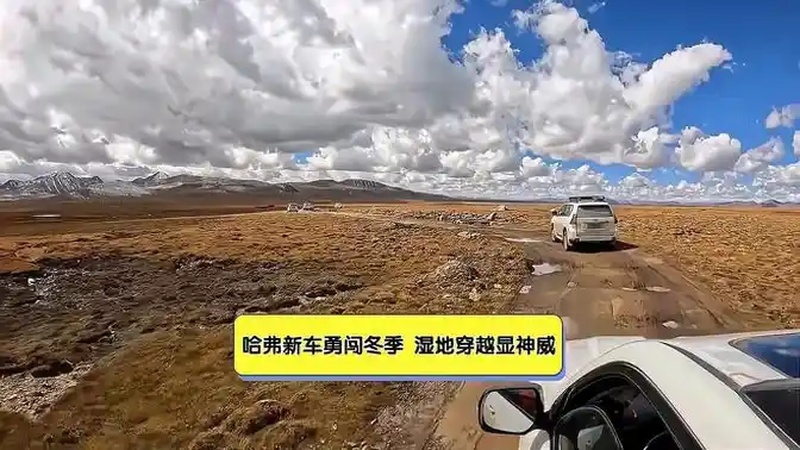 哈弗新车勇闯冬季,湿地穿越显神威