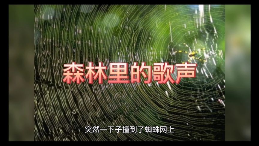 童话:森林里的歌声,讲给小朋友的故事