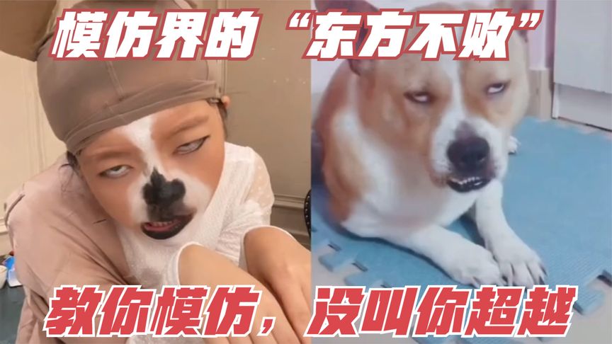 盘点搞笑模仿:万里挑一的有趣灵魂,网友:让你模仿没让你超越啊