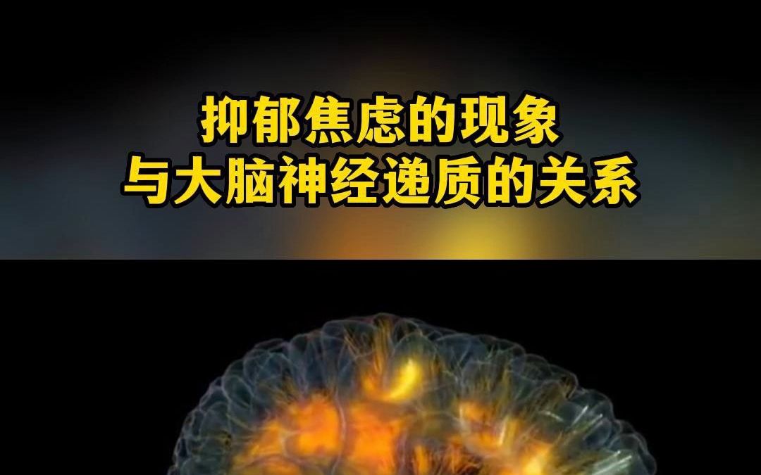 抑郁焦虑现象,与大脑神经递质的关系