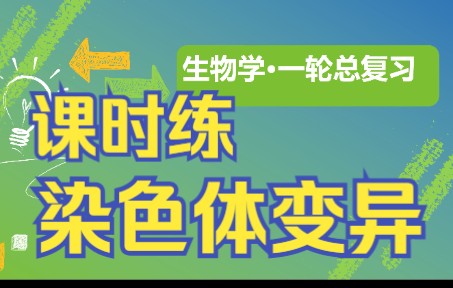 【高中生物一轮复习】7.2-4染色体变异 课时精练 习题新高考生物...