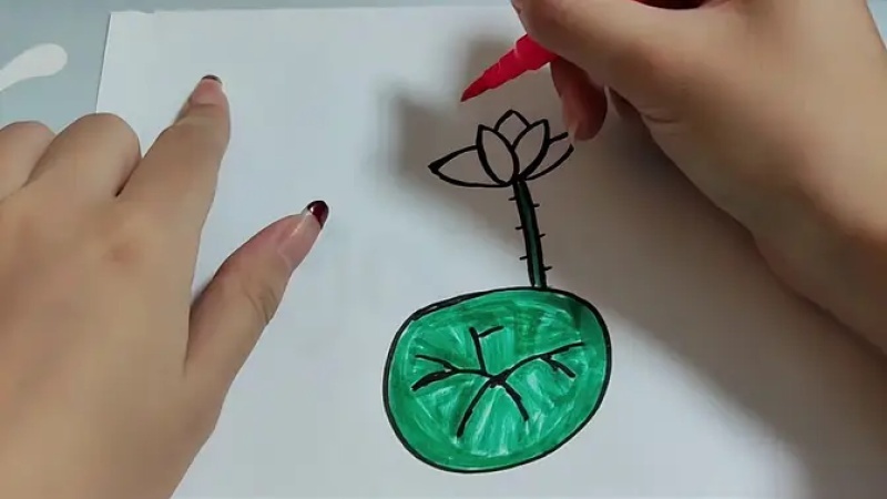 荷叶简笔画的画法