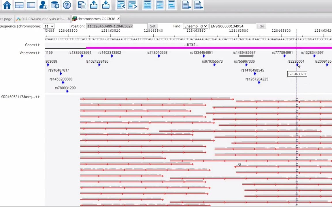 从FASTQ 文件到主要调节因子, RNA-seq 数据分析 (第二部分): 分析...