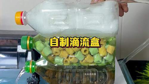 鱼缸过滤太差?0成本自制滴流盒,效果秒杀高级过滤器!