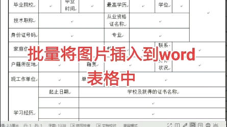 批量将图片插入到word表格中