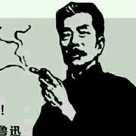 只是一只羊驼啊 