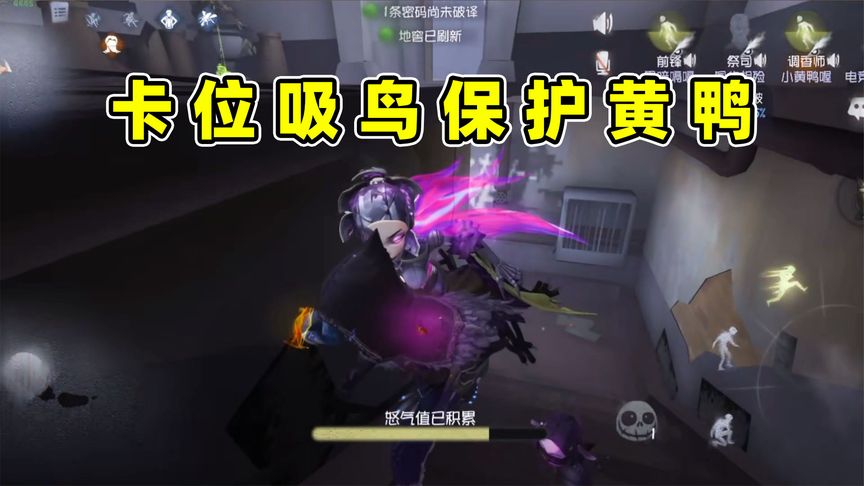 第五人格:导演卡位吸鸟掩护小黄鸭逃出地下室,这波配合绝了!