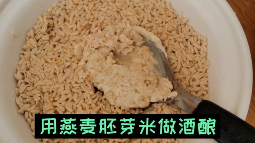 用燕麦胚芽米做酒酿