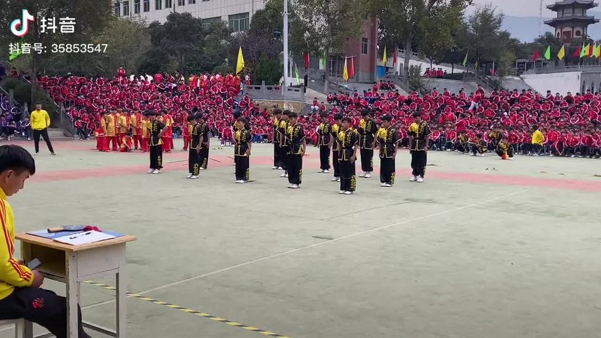 儿子学校第71届运动会,小龙武校