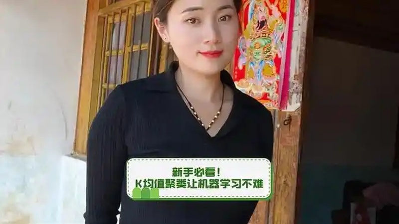 新手必看!K均值聚类让机器学习不难