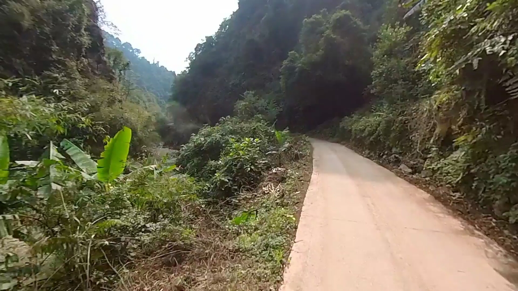 房车穿行在风景秀丽的山路