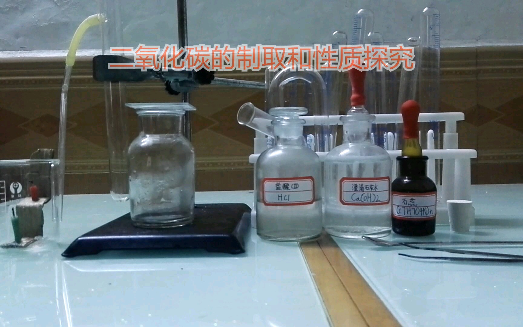 二氧化碳的制取和性质探究