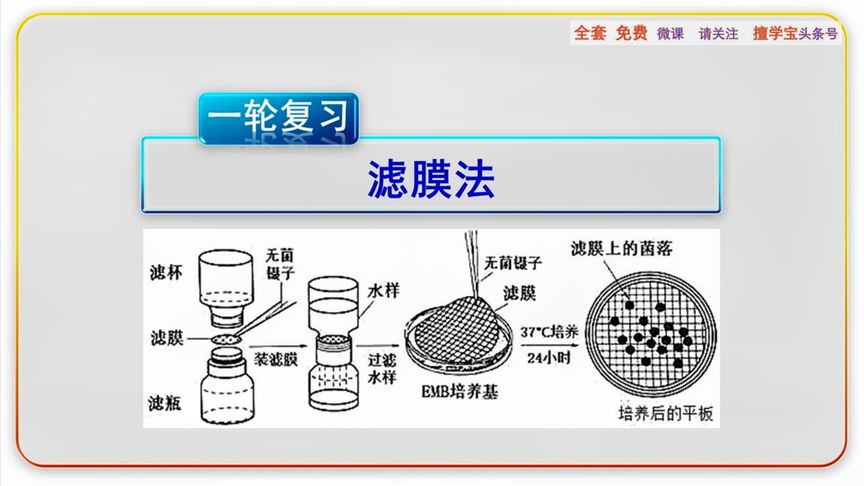 高中生物选修一~滤膜法
