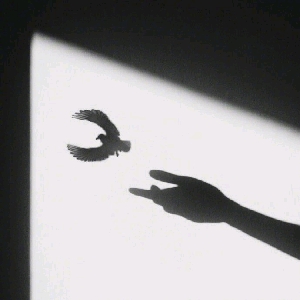 新时代好青年SJ 