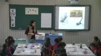 5.苏少版小学美术二年级下册《第11课 水墨画树》江苏省县级优课