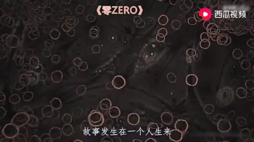 人出生前就被标记数字,0代表最低贱的人,连生育的资格都没有