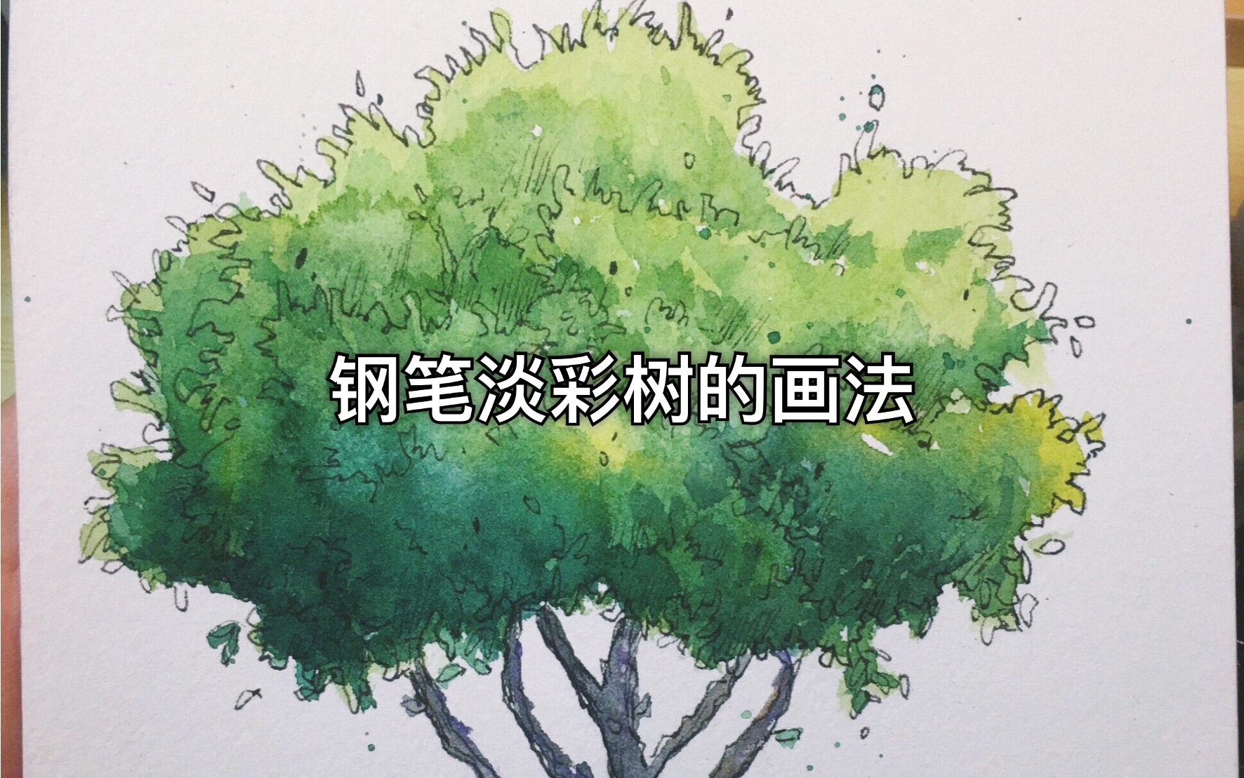 钢笔淡彩树的画法