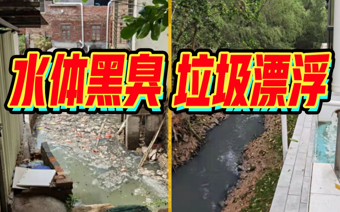 广东茂名污水直排入江,达标不到两年水质再度恶化
