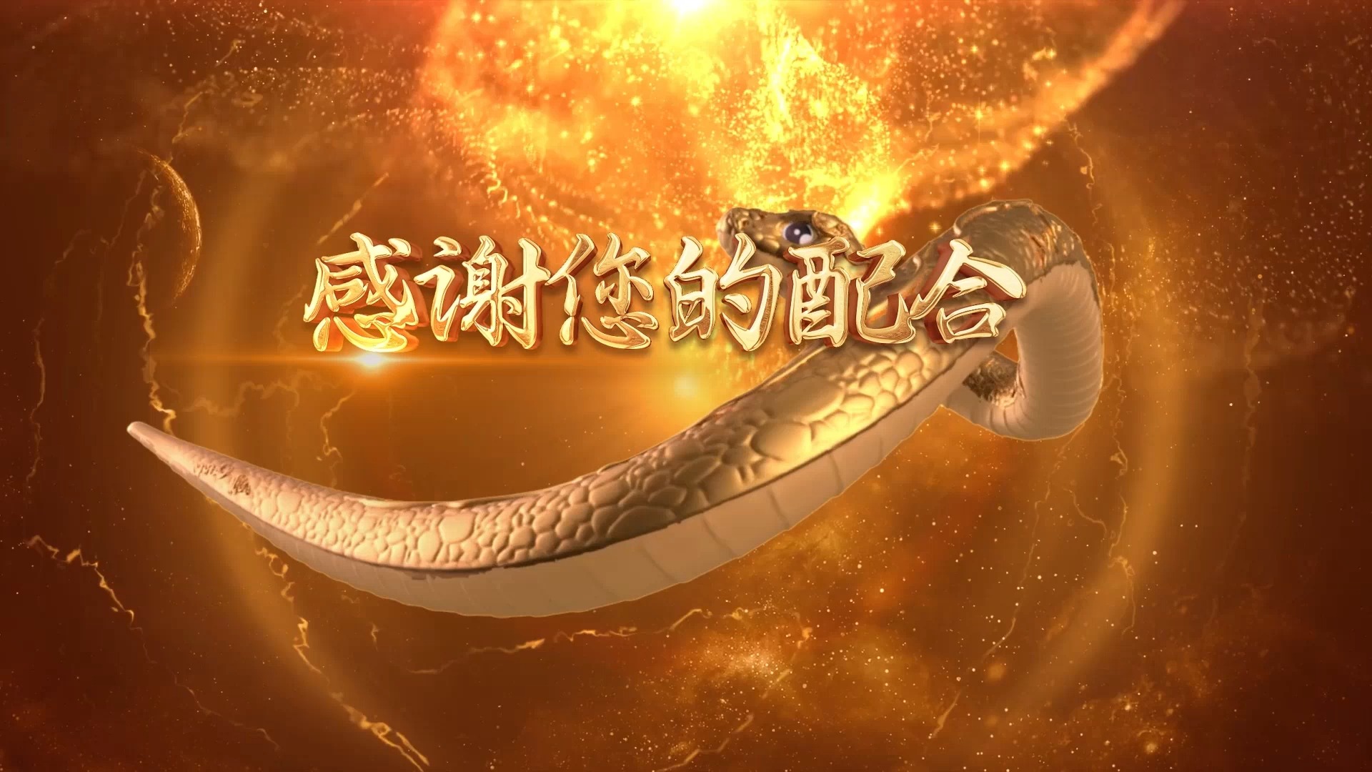 蛇年新年新春晚会 有请主持人上场 开场倒计时视频