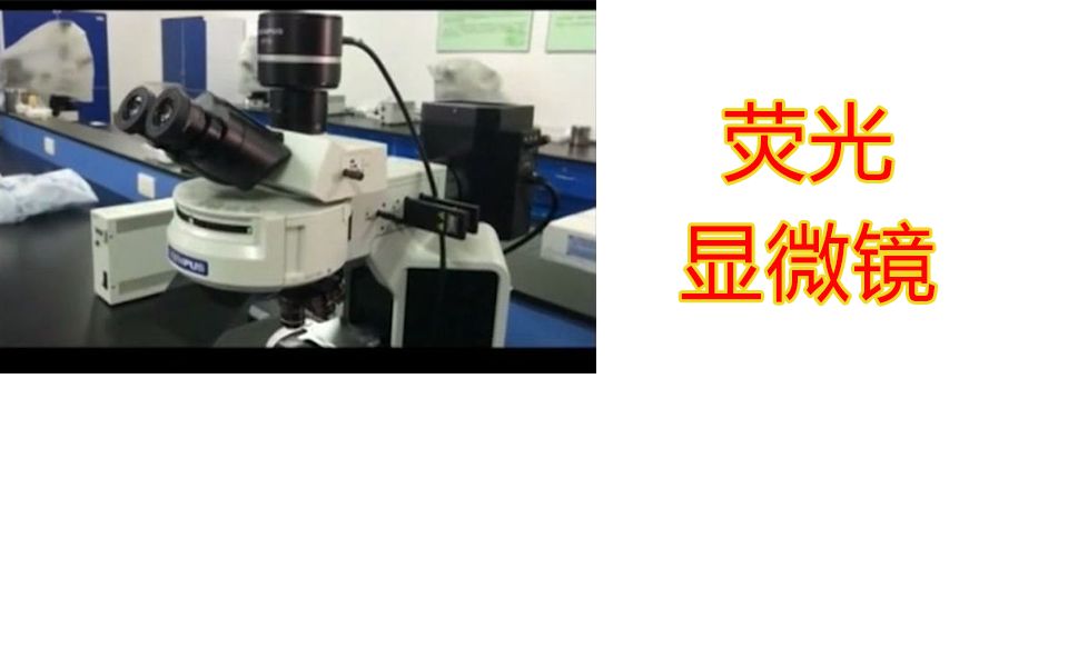 【显微镜】荧光显微镜的结构与使用方法