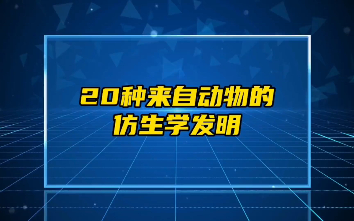 动物仿生学:20种奇妙发明