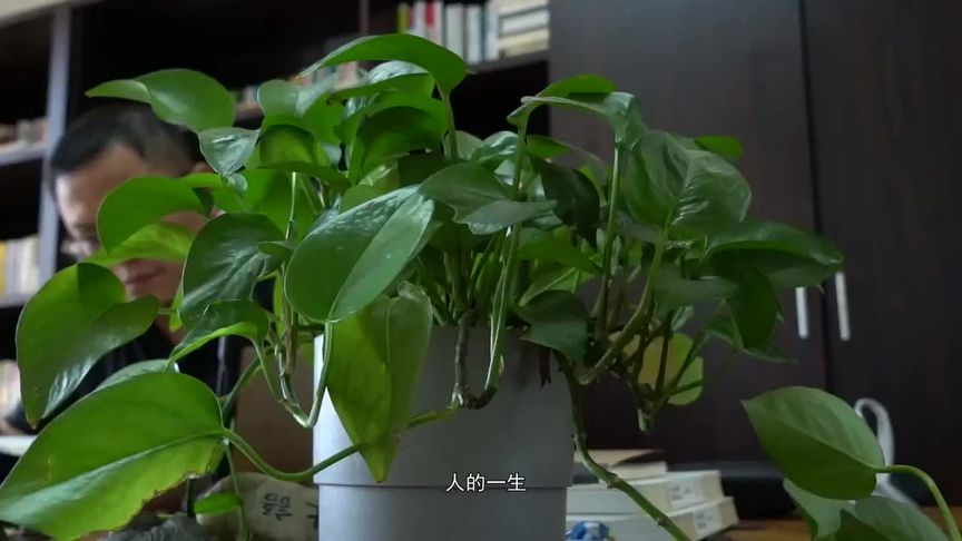 进化是宇宙中最强大的力量,是唯一永恒的,是一切的驱动力!