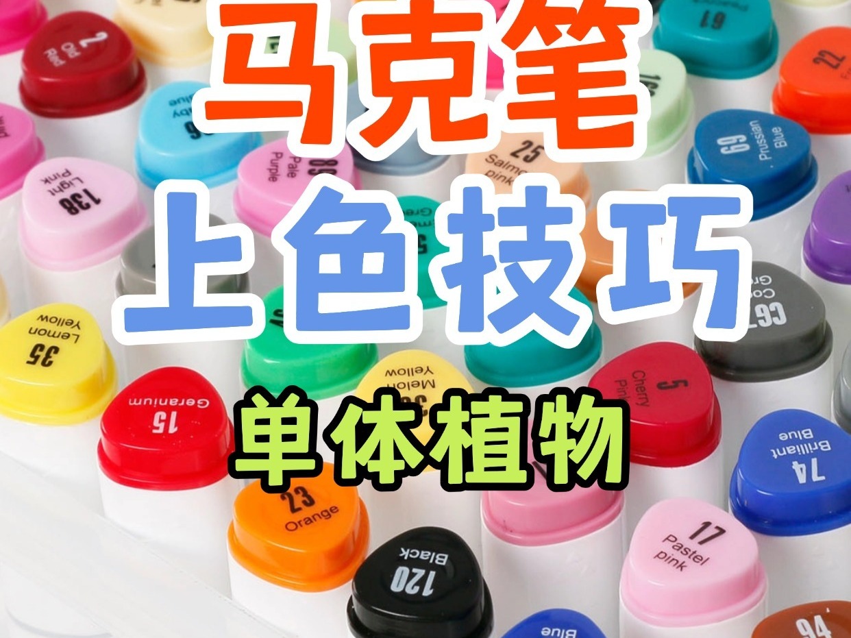 马克笔上色技巧——单体植物