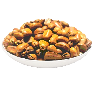 松子菌oz 