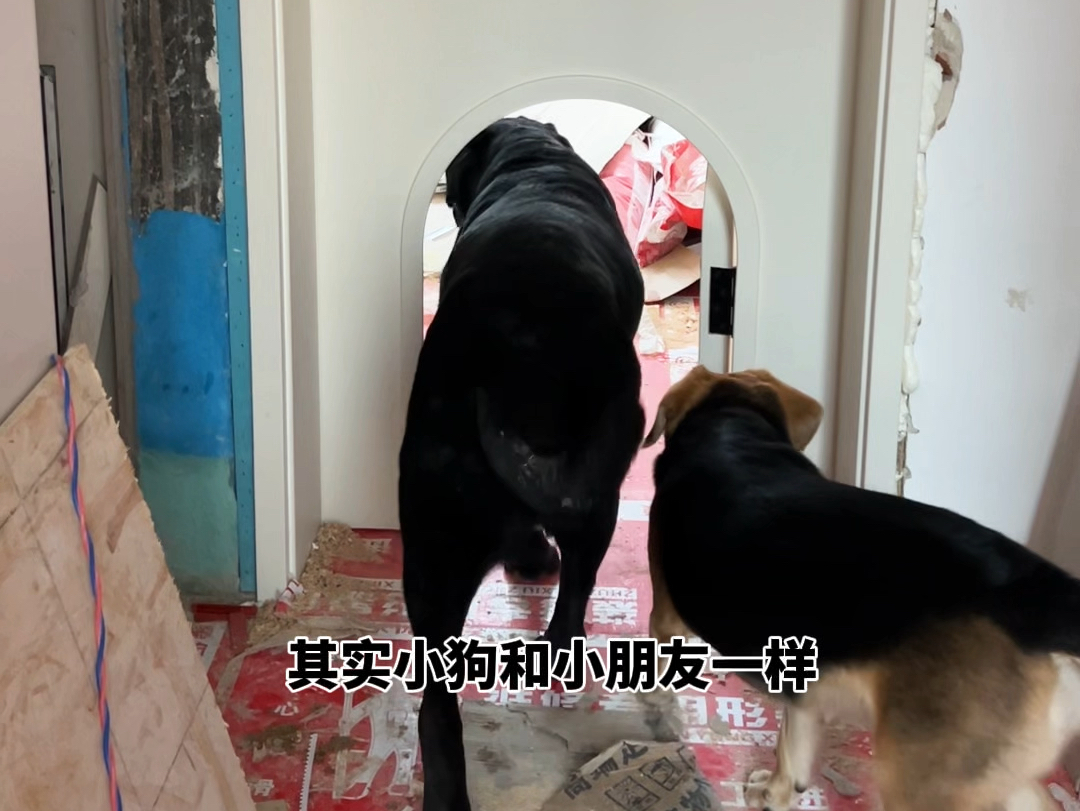 大家都在好奇的小狗门是怎么做的,里面有具体尺寸和方法哦!