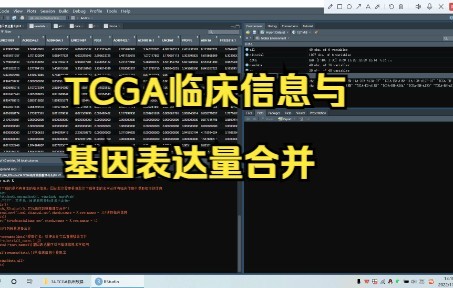 TCGA临床数据与基因表达量合并