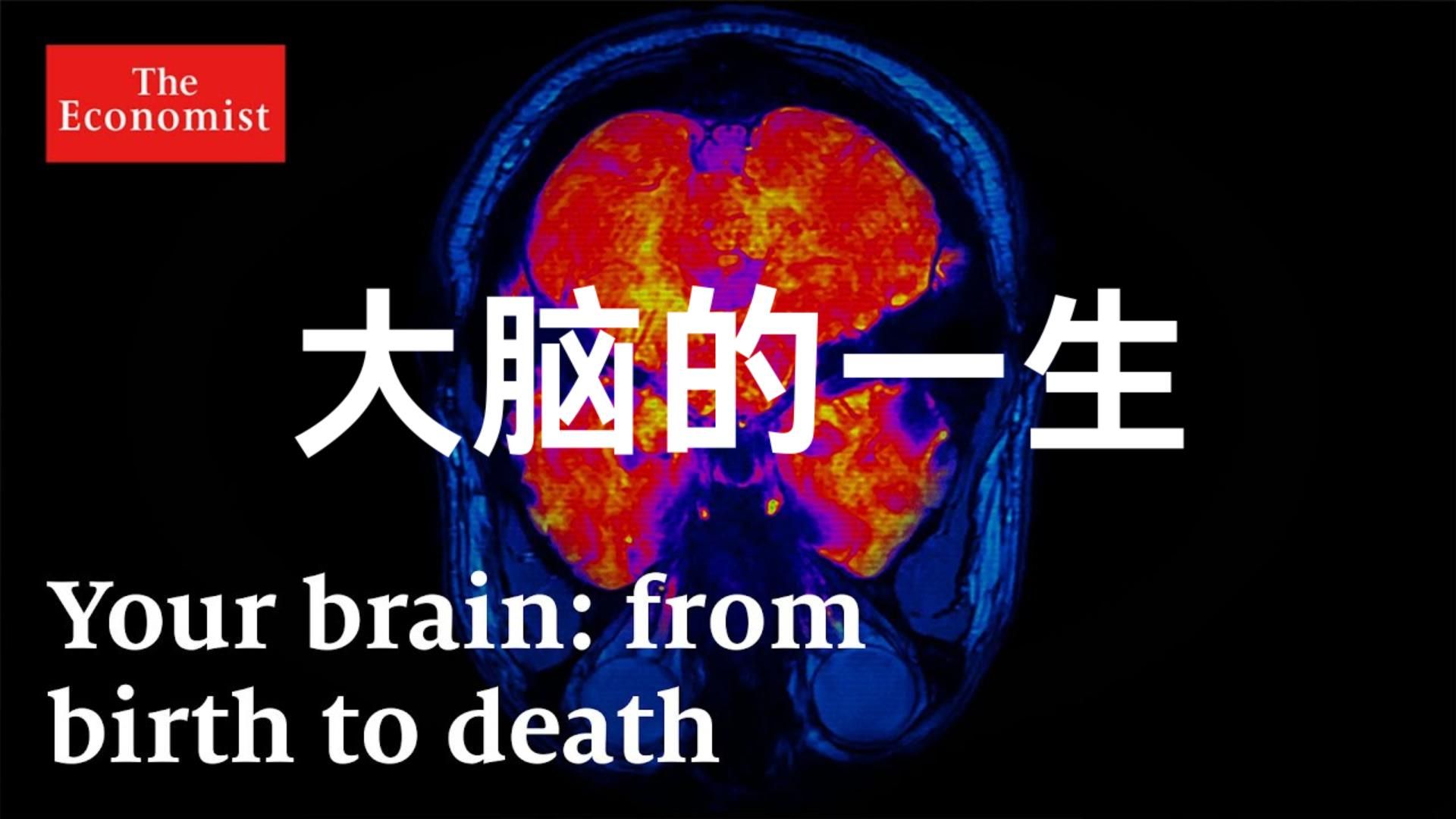 从生到死,你的大脑发生了什么?