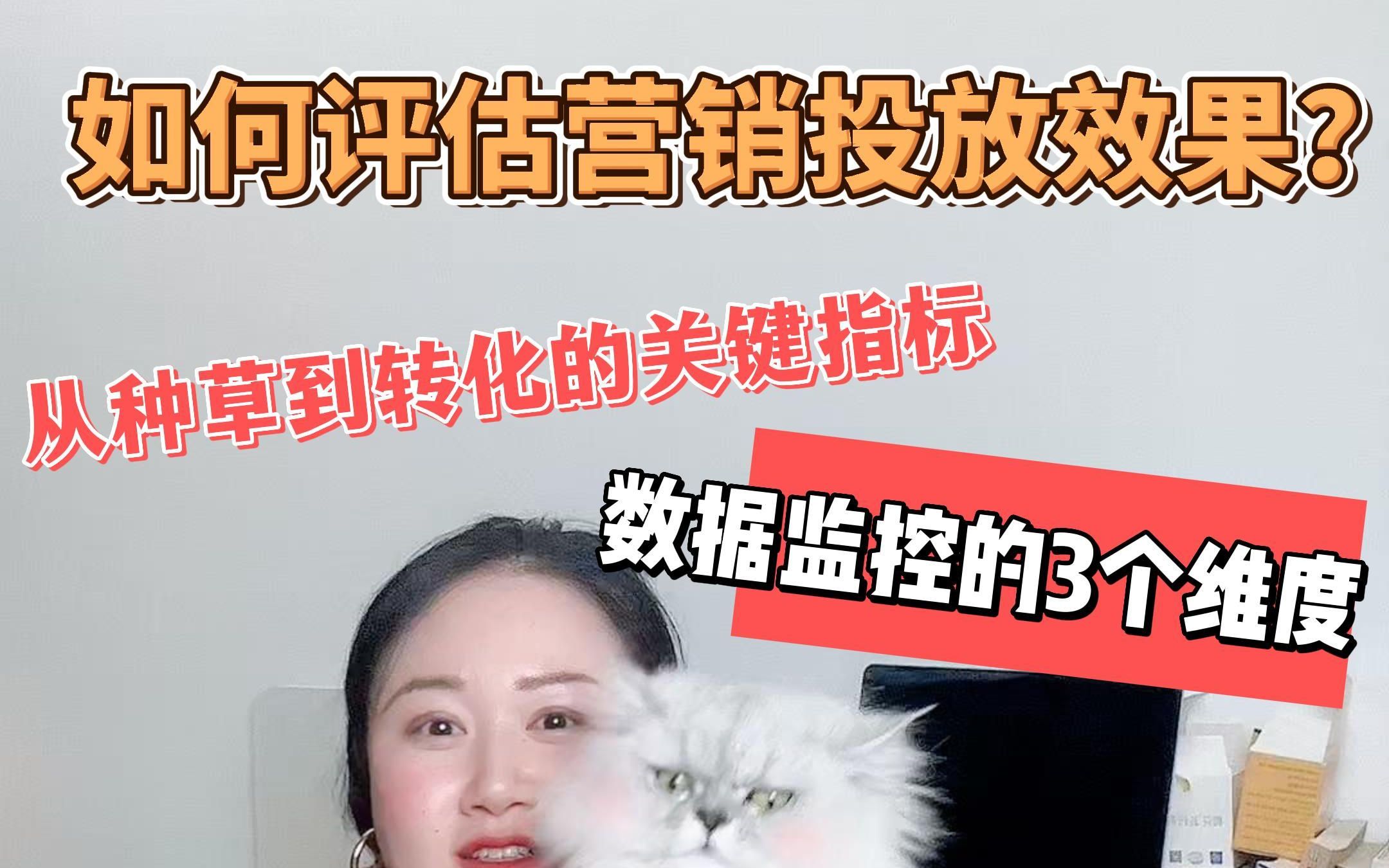 如何评估营销投放效果? 从种草到转化的关键指标 ,数据监控的3个维度