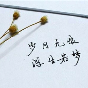 岁月生活 