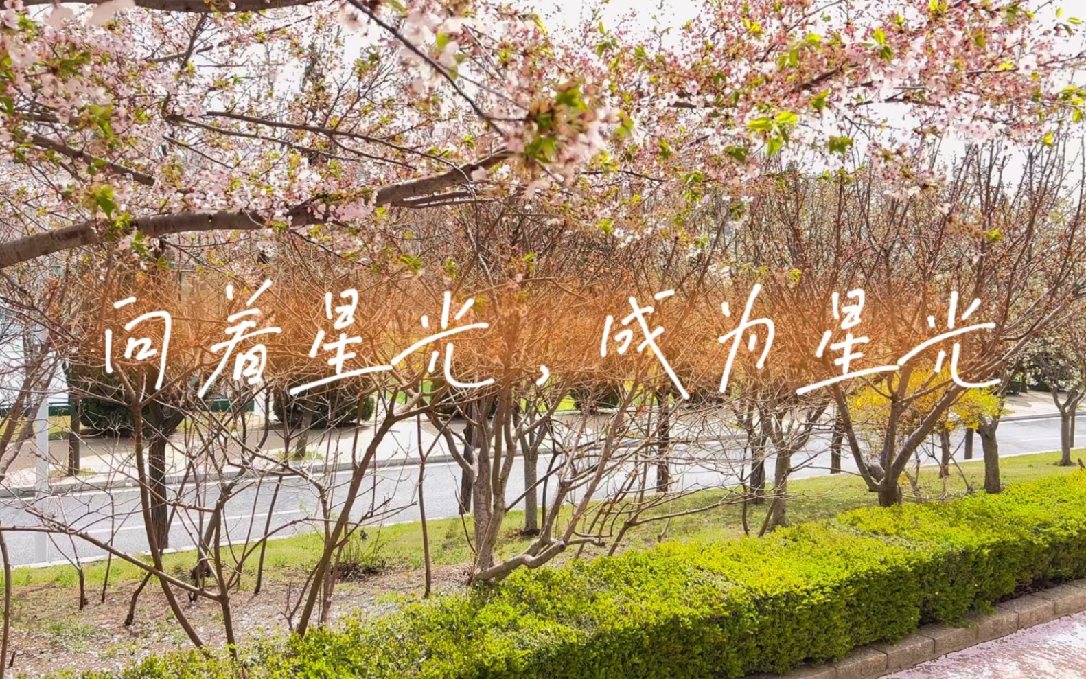 东北财经大学劳动教育实践课视频第九组小组