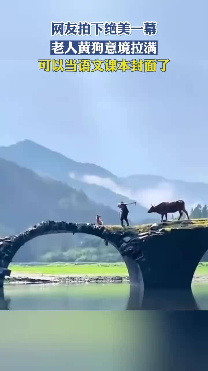 网友拍下绝美一幕,老人黄狗意境拉满,可以当语文课本封面了
