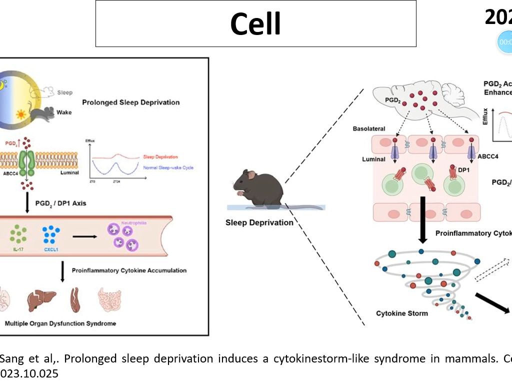 Cell—睡眠不足导致“炎症因子瀑布“和多器官功能不全