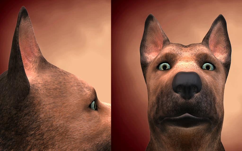 犬猫3D疾病演示与操作——耳朵(全部)
