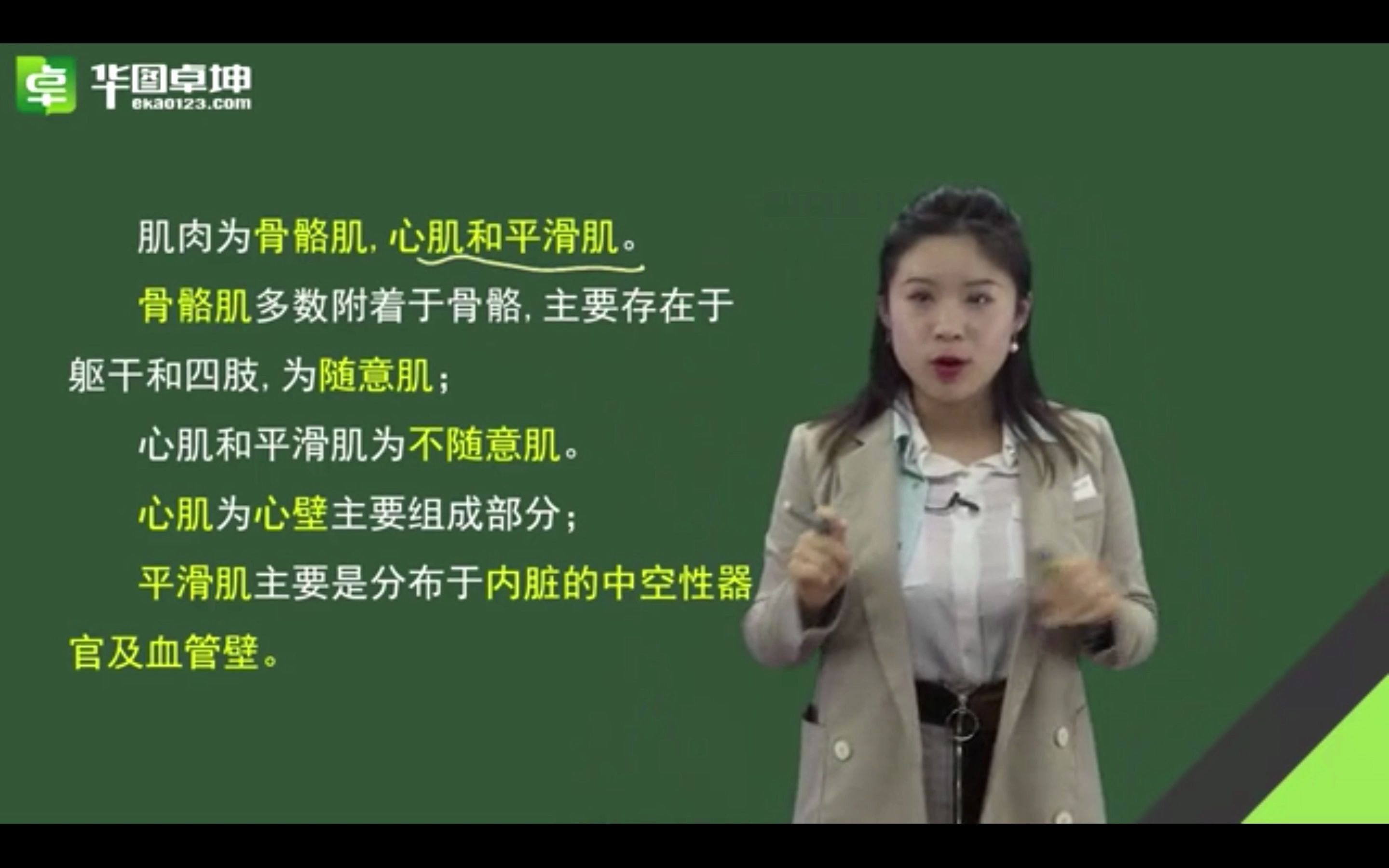 事业单位E类联考—《医基》精讲班之运动系统的构成