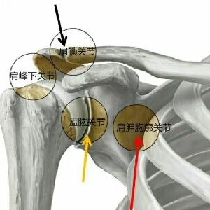 简单学影像诊断 